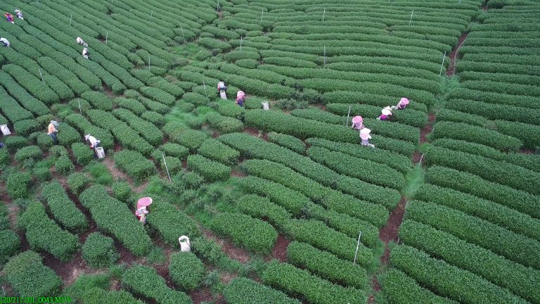 2-1%e4%ba%8c%e5%8d%83%e5%85%ac%e5%b0%ba%e9%ab%98%e6%b5%b7%e6%8b%94%e9 ...